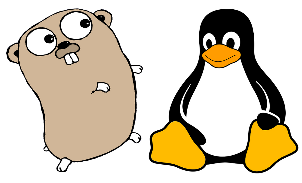 Como instalar a linguagem Golang no Linux