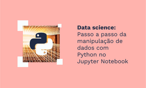 Data science: Passo a passo da manipulação de dados com Python no ...